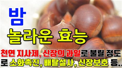 밤의 놀라운 효능 8가지 And 부작용 영양만점 밤의 비밀 건강과 활력을 찾아서 Youtube