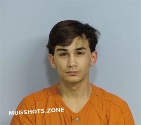 Blain Joshua Alexander 12 28 2022 Walton County Mugshots Zone