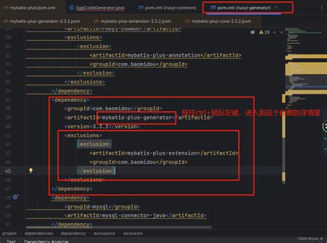 开源 Ruo Yi 项目引入 Mybatis Plus353 报错classnotfoundexception：找不到 Com