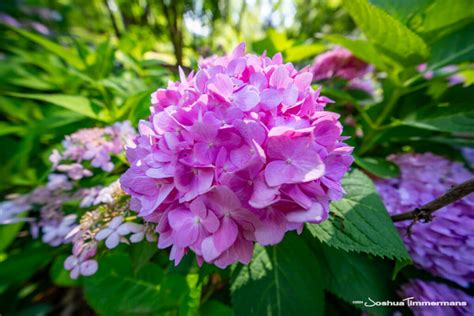 Live In Memphis Soundcheck Widespread Panic