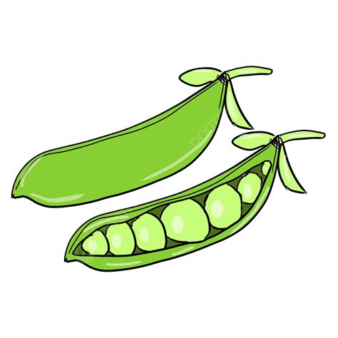 Bean Cartoon Clipart Vector Hand Drawn Cartoon Vegetable Bean Material