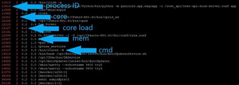 Solved Process Utilization Per Core Check Point CheckMates