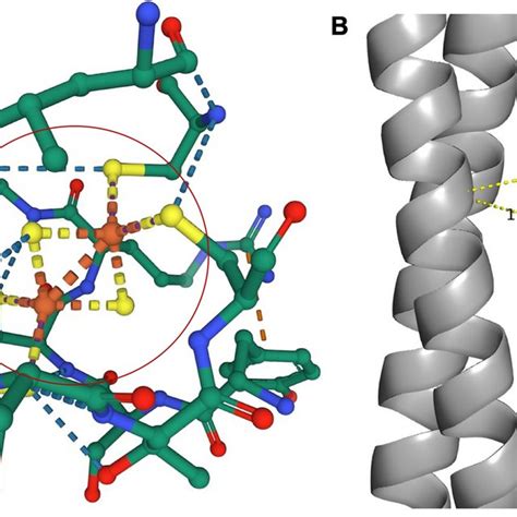 Structural Features Of The Domain Surrounding Fds Fe S Cluster A The Download Scientific