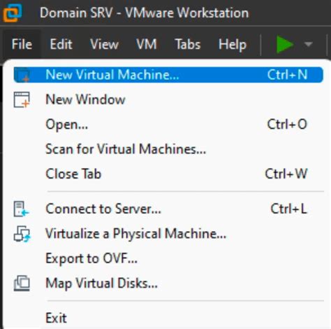 Vm Windows 11 Vmware Ldugrain