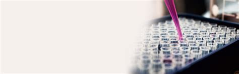 Immunoassay Analyzer Machine And Immunoassay Reagent Daan Gene