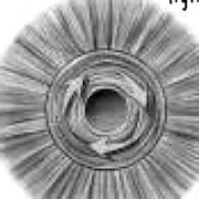 Visual System Biology Key Terms Definitions Study Set Flashcards Quizlet Visual System Biology Key Terms Definitions Study Set Flashcards Quizlet