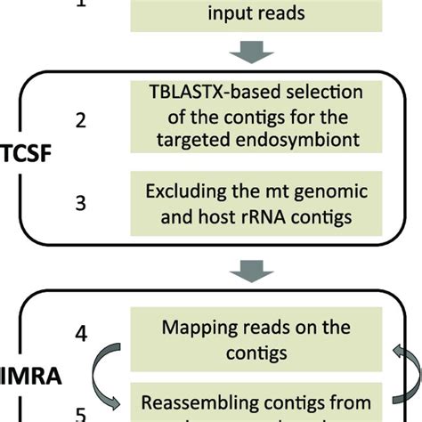 Flowchart Of The Sequence Assembly Procedure Developed In This Study Download Scientific
