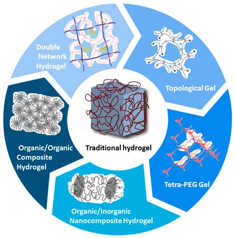 Synthetic Polymer Hydrogels For Biomedical Applications At Clemente Herrera Blog