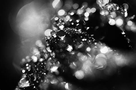 올해의 트렌디 한 색상 2021 얼티밋 그레이 추상꽃 레드 배경 물 방울과 흐린 배경 클로즈업 장미 꽃잎 매크로 물 방울 다이아몬드와 아름다운 배경 개화기에 대한 스톡 사진