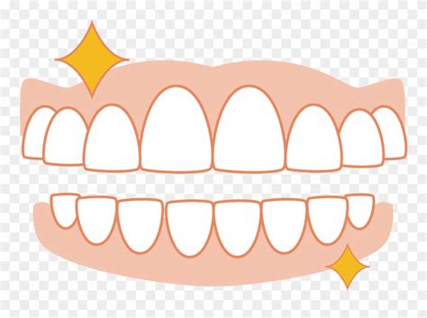 Denture Clip Art 20 Free Cliparts Download Images On Clipground 2026