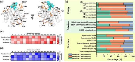 Overall Structural And Dynamics Observables Of Bsla Variants In 60