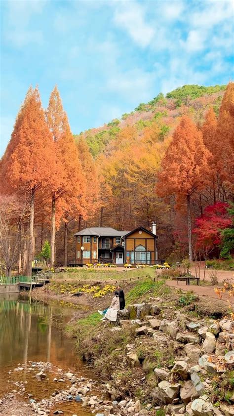 식스팟ㅣ여행 사진가 🎞️ 촬영지 🧡 얼마 남지 않은 가을을 온전히 느낄 수 있는 이곳은 바로 충남 논산에 위치한 ‘온빛자얀휴양림입니다 드라마 과 넷플릭스 의