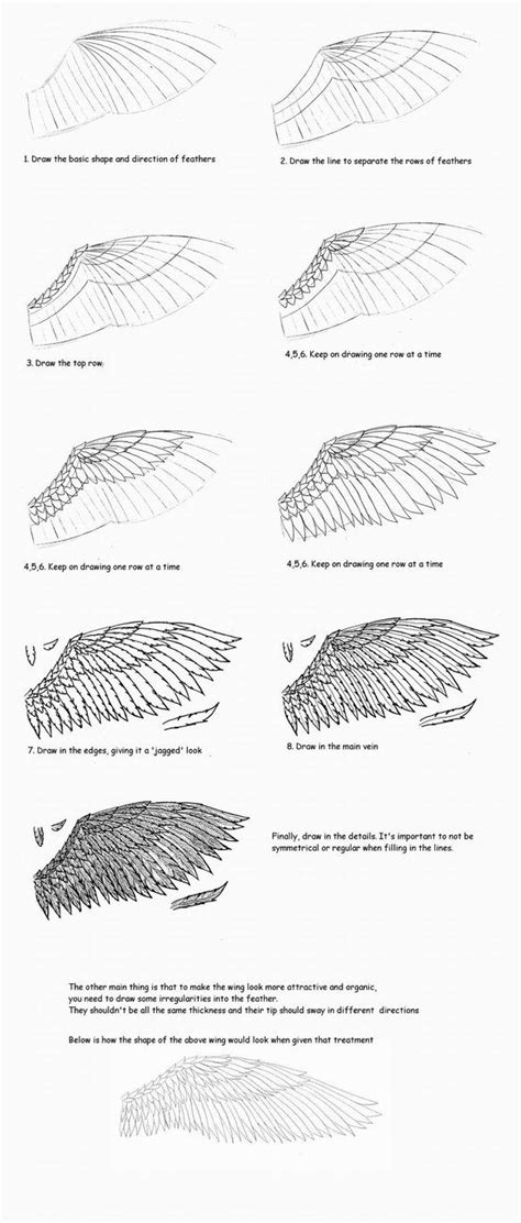 How To Draw Wings By Serio555 On Deviantart Wings Drawing Realistic
