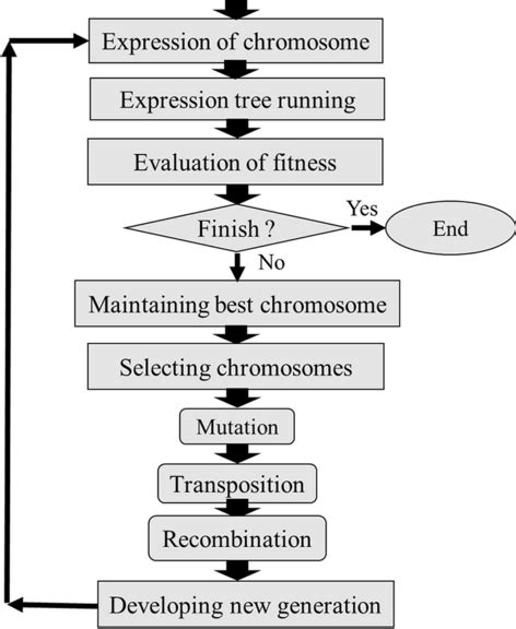 Diagram Of Gene Expression Programming As A Prediction Model Download