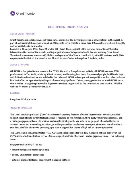 Job Description Finops Analyst Pdf Budget Consultant