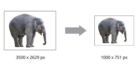 Resize Image Online Free Photo Resizer Watermarkly