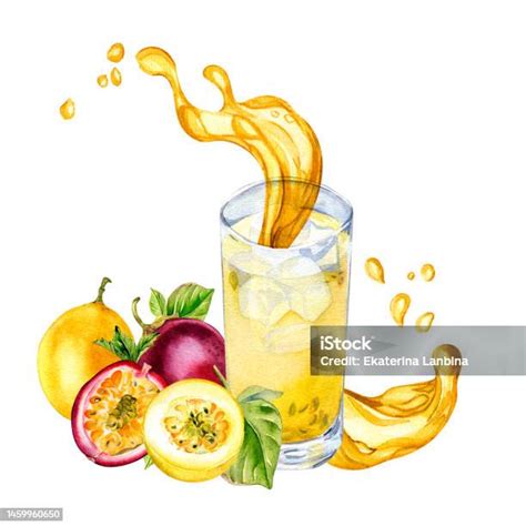 열정 과일 스무디와 스플래시 주스 수채화 그림이 흰색으로 분리되어 있습니다 과일에 대한 스톡 벡터 아트 및 기타 이미지 과일 노랑 다양 Istock