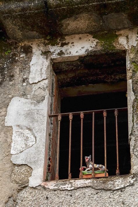 Lost Windows On Behance