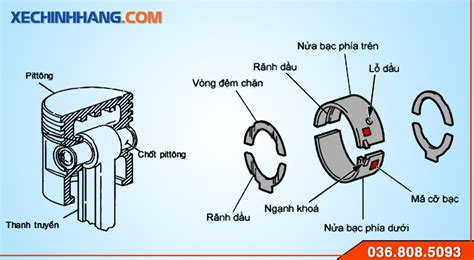 C C U Tr C Khu U Thanh Truy N L G C U H I Th Ng G P