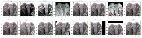 Analyzing Data Augmentation For Image Classification By Gergely D