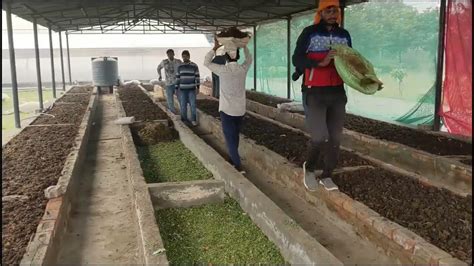 Vermicomposting Science And Technology Part 1 Youtube