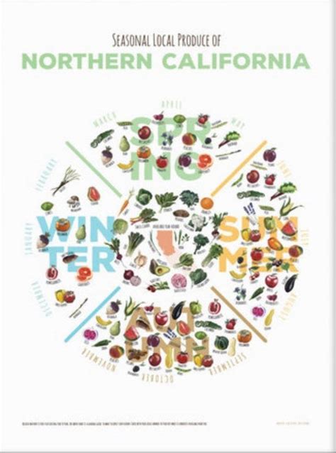 California Seasonal Fruits And Vegetables Chart Four Star Fruit Looks