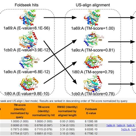 Flowchart For Identification Of Biologically Relevant Ligand Protein