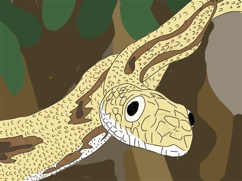 Realistic Ball Python By Twigtheprotogen On Deviantart