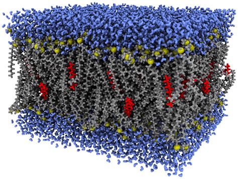 Lenovo Selected For New Supercomputer At The Paderborn Center For Parallel Computing Lenovo