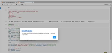 The Kernel For Yahboomdrawdrawipynb Appears To Have Died It Will Restart Automatically