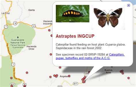 Making Maps With Google Fusion Tables