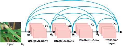 Architecture Of Densenet 201 In Consequence The Network Has Acquired A Download Scientific