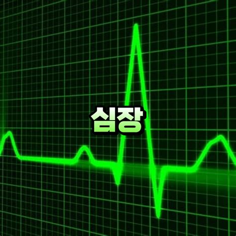 평균 심박수 정상수치는 안정시 최대 목표 정상심장박동수 네이버 포스트