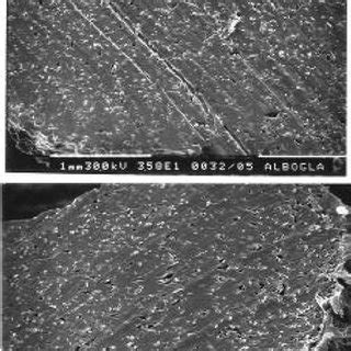 SEM Micrographs Of LLDPE Composites Download Scientific Diagram