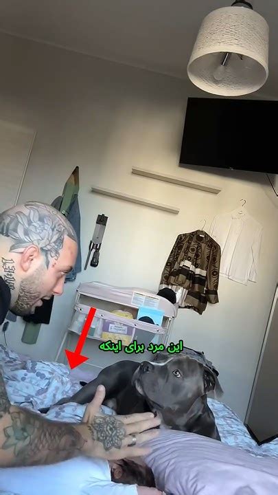 رابطه عجیب این سگ با دختر کوچولو 🤯 فکت دانستنی عجیب Youtube