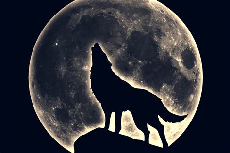January Full Moon Spiritual Meaning And Rituals For The Wolf Moon The Pagan Grimoire