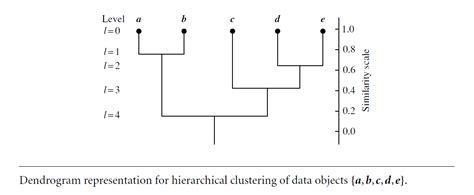 Hierarchical Clustering
