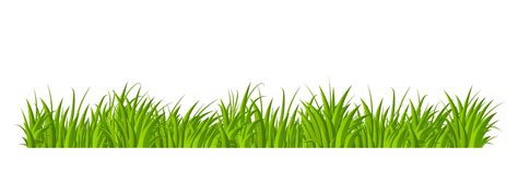 Premium Vector Green Grass Border Flat Style Design Cartoon Summer