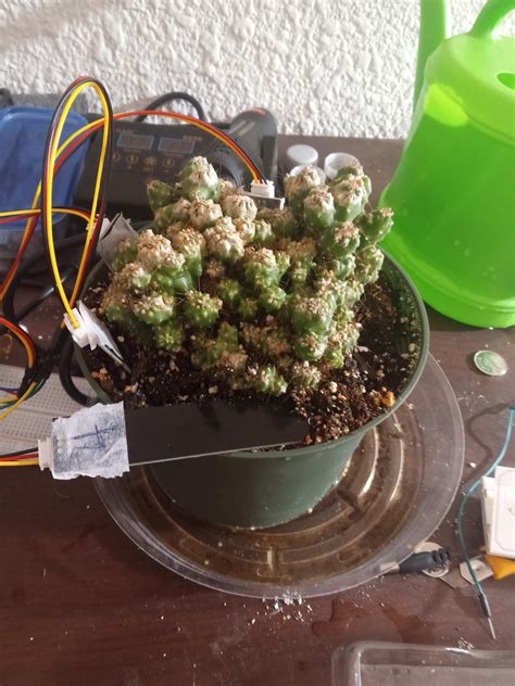 Display Datalogging And Remote Viewing Options Rarduino