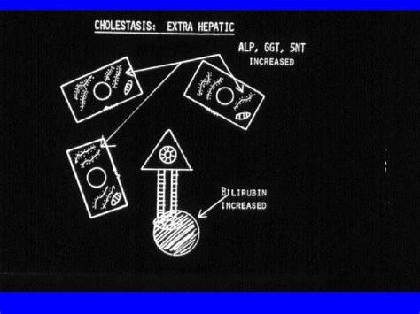Hepatic Function Tests Cms Approved Hepatic Function Panel