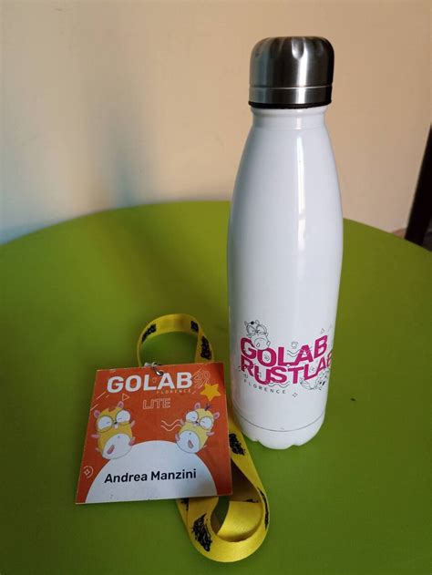 Wrapping Up GoLab IlManzo S Blog