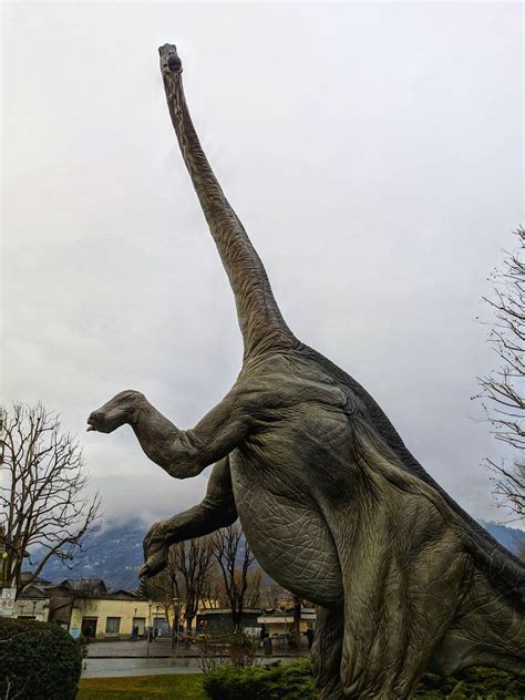 Back In Time Diplodocus Longus Travelfeed
