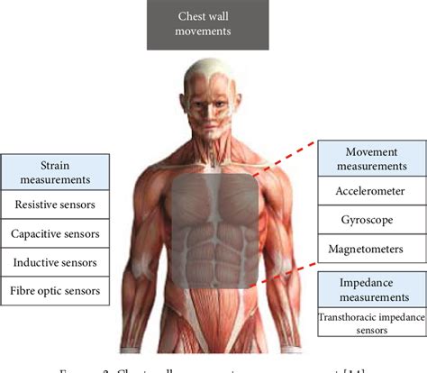Figure 2 From Imu Based Respiratory Signal Processing Using Cascade Complementary Filter Method