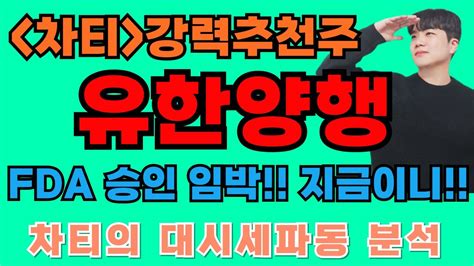 차티 스윙 추천주 유한양행 Fda 승인 임박 지금이라도 Youtube