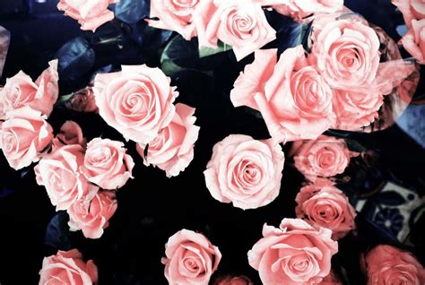 100 Girly Desktop Wallpapers