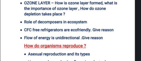 Ozone Layer How Is Ozone Layer Formed What Is The Importance Of Ozon