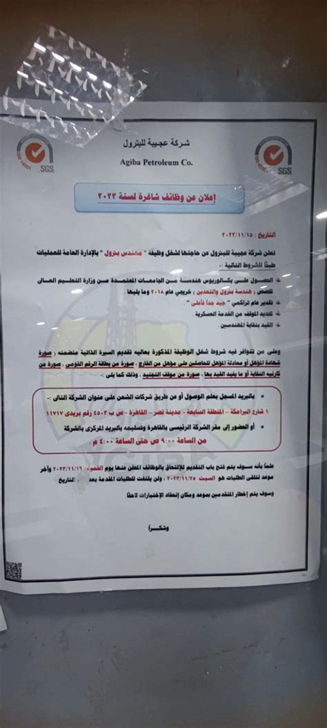 Mohamed Hegazy Posted On Linkedin