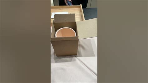 🙏무지개 다리 건너 아프지 않는 곳으로 🐶강아지 췌장암 고마워 미안해 사랑해💕 Shorts Youtube