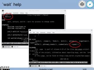 Bash 1 2021 Command Line Introduction Pdf