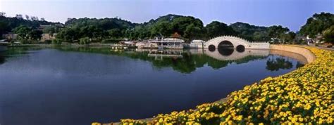 君山島景區 每日頭條